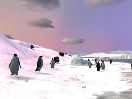 Arctic Wildlife Preserve Save File | ZooBerry